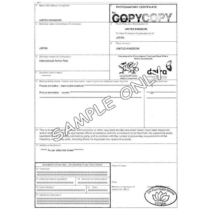 Phytosanitary Certificate