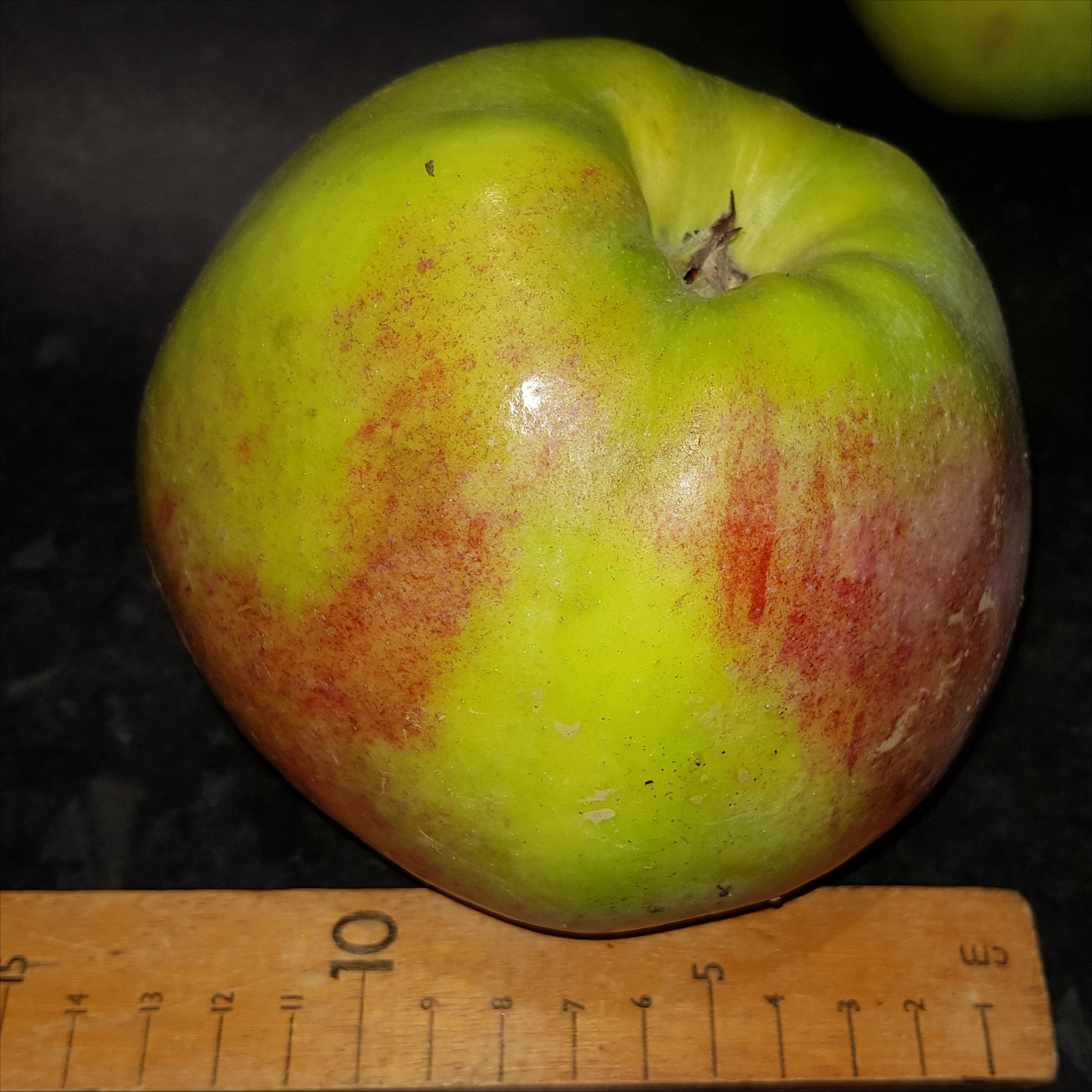 Apple - Lanes Prince Albert - Scion